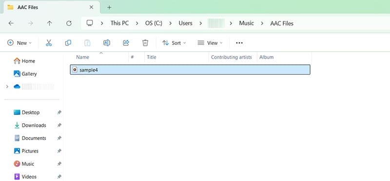 Ways to Play AAC Music Files on Windows - AppleToolBox