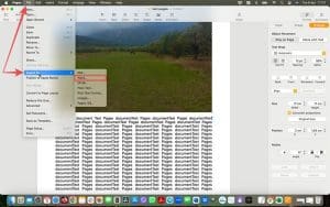 How to Convert a Pages File Into Word File - AppleToolBox