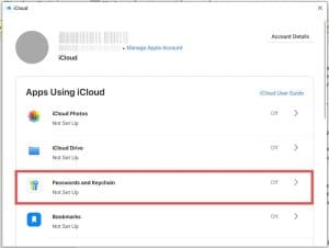 Microsoft Edge Doesn’t Autofill Passwords From iCloud Password Manager - AppleToolBox